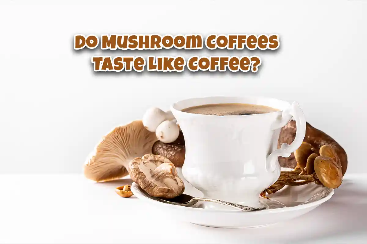 Do Mushroom Coffees Taste Like Coffee? A Detailed Flavor Guide - Billy Recipes