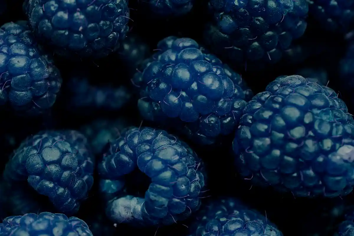 Blue Raspberry: The History and Why It's So Popular - Billy Recipes